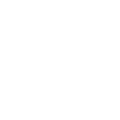 Find Your Car Rental | Explore Hawaii & Oahu | GoVibe